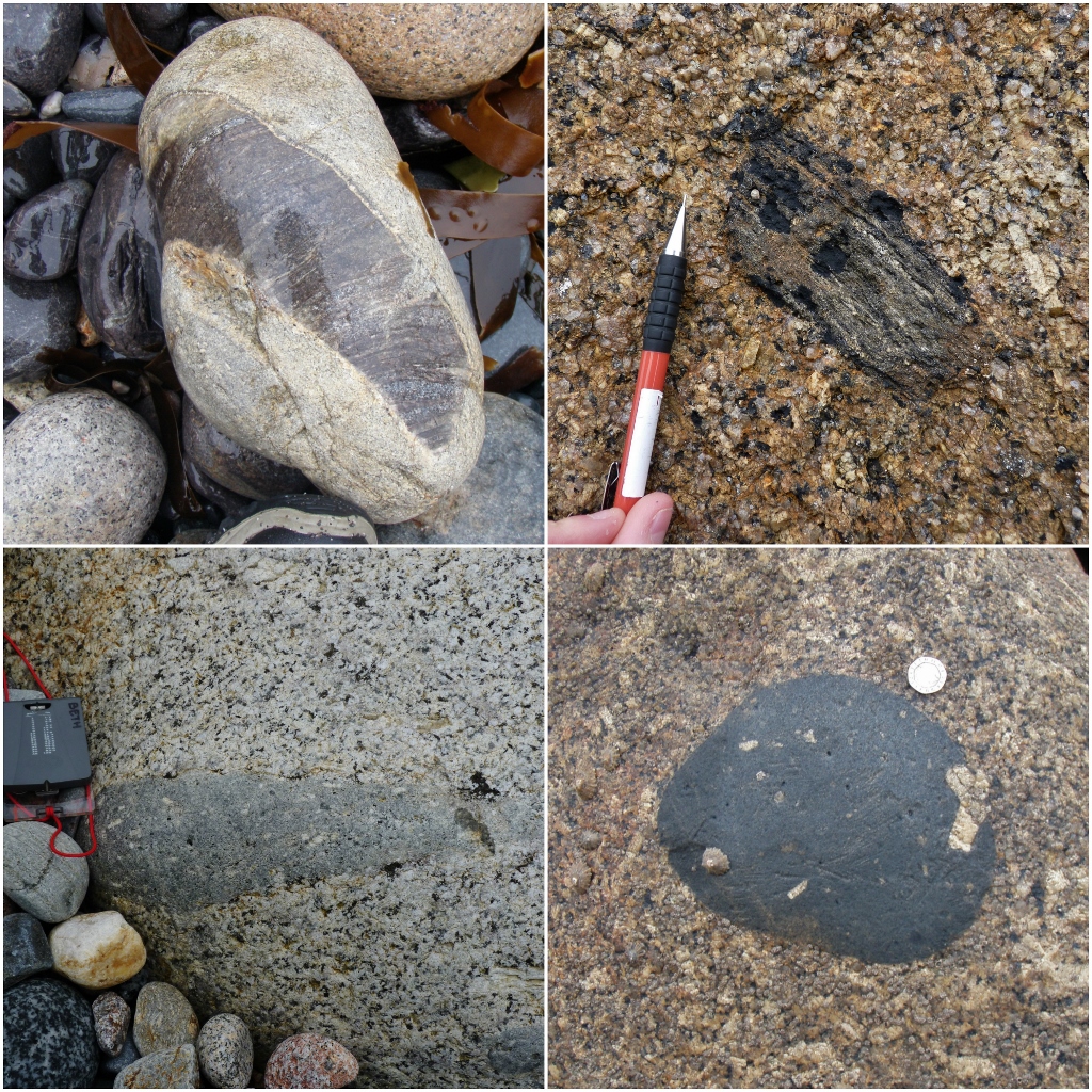 A collection of Cornubian granite textures - Variscan Coast Geoscience