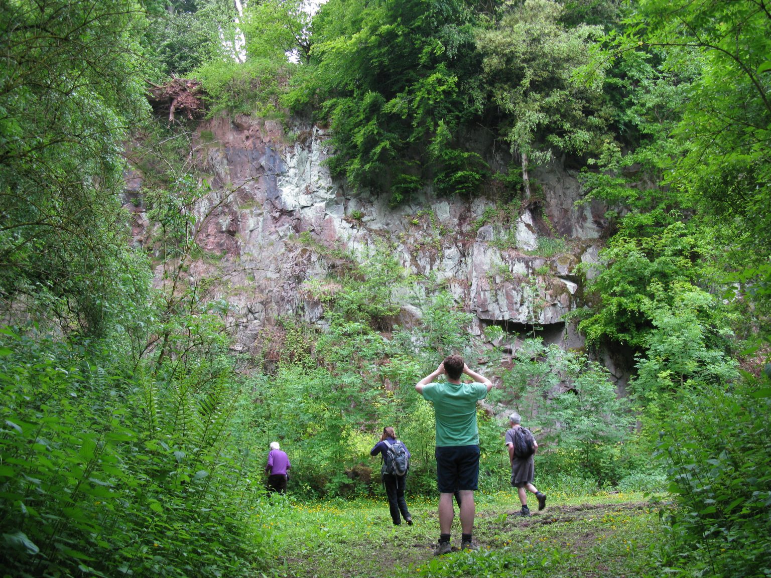 Killerton Lamprophyre - Geological Site Description