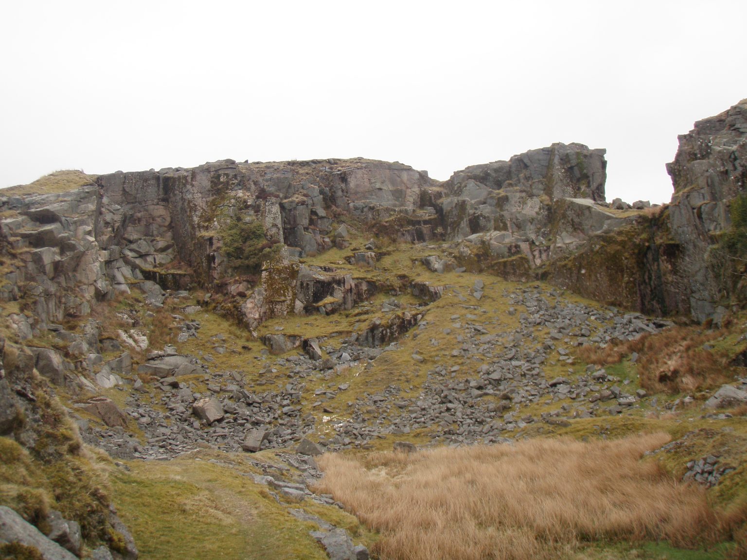 Foggintor Quarry - Geological Site Description